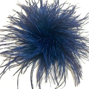 Accessories | Feather Shoe Clips Ostrich Feather Shoe Clips All Color ...